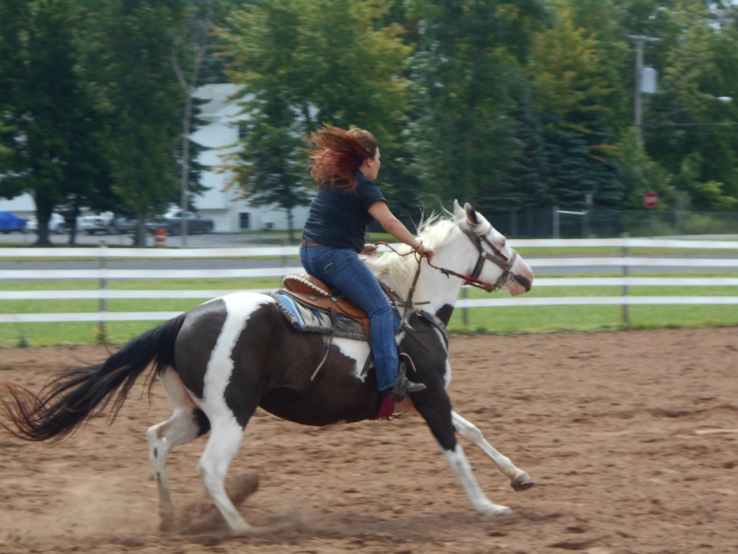 About the Fair – The Seneca County Fair, NY