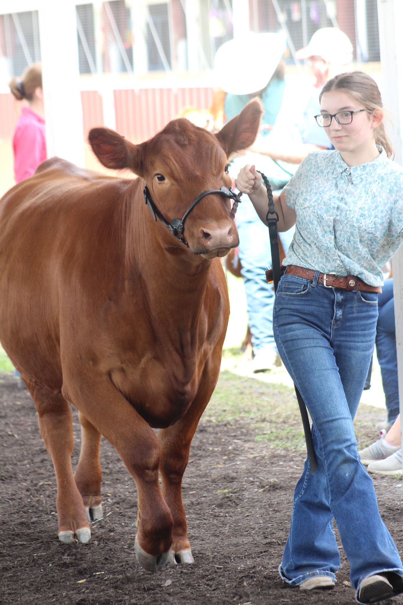 The Seneca County Fair, NY – Established in 1841